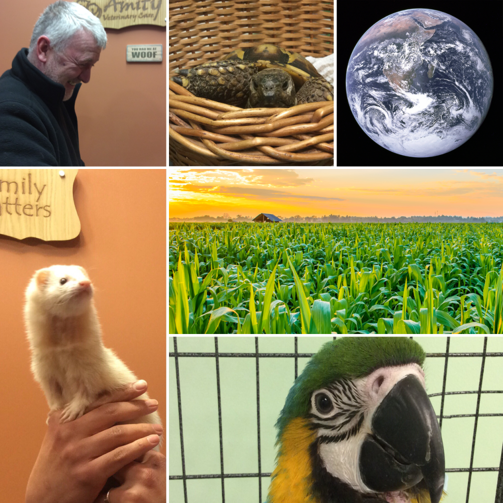 Home - Embracing Humanity Through Veterinary Medicine